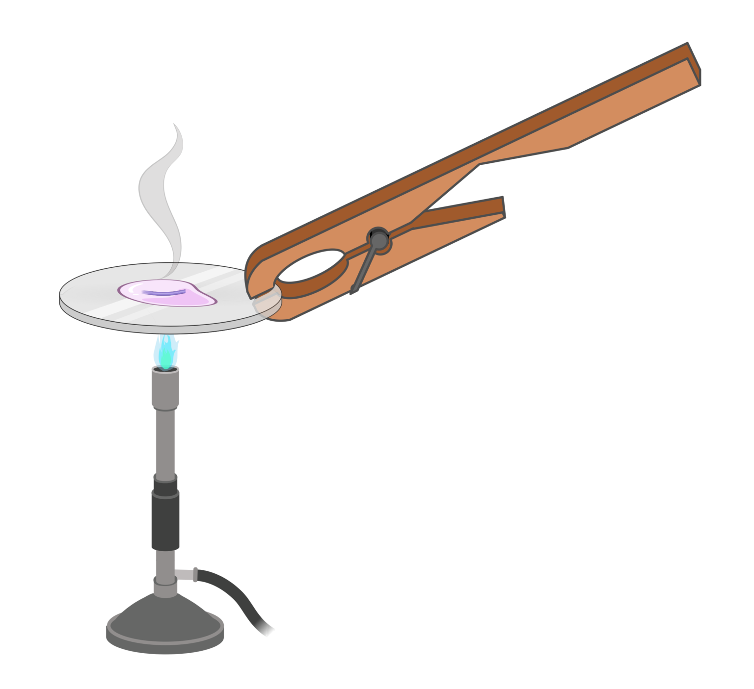 Mitosi – el Profe de Bio