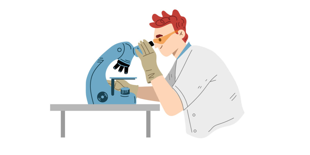 Microscopi òptic – el Profe de Bio